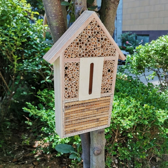 Bee Boxes