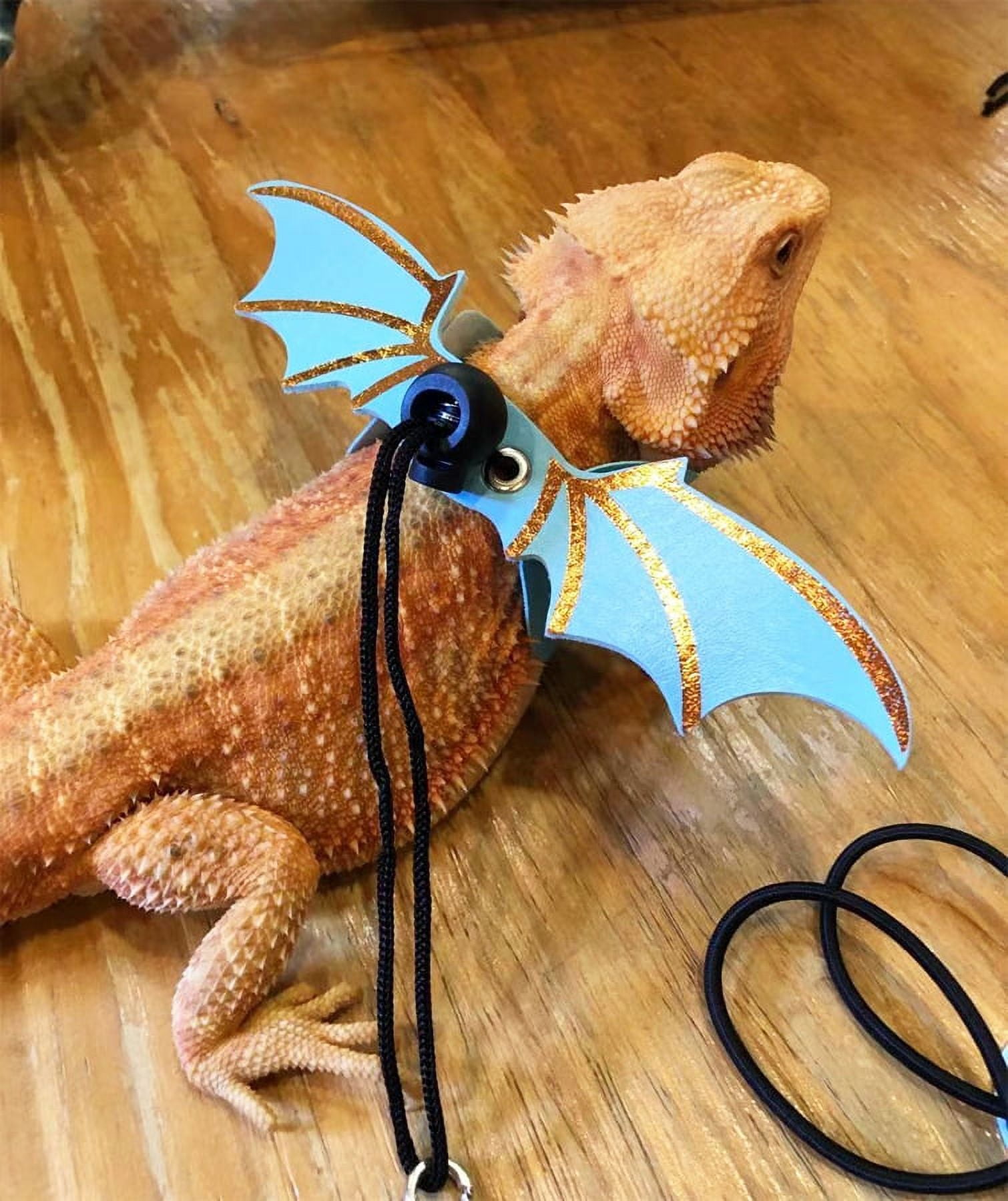 MMTX Bearded Dragon Leash Harness, S/M/L 3 Size Pack Leather Wing ...