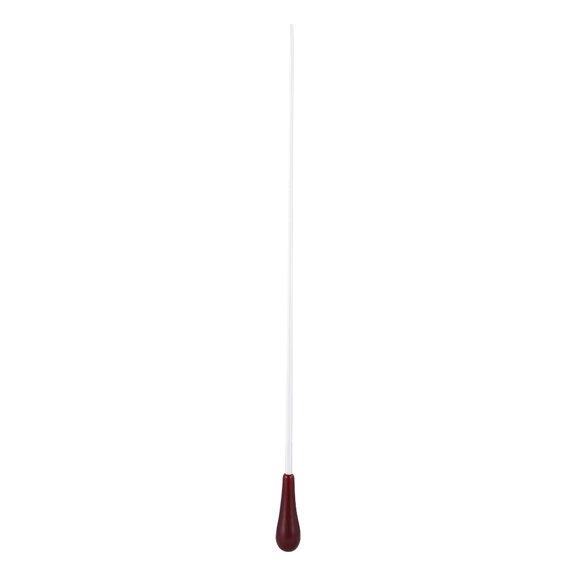 2 Pcs Performance Concert Resin Part Orchestra Conductor Wand Music ...