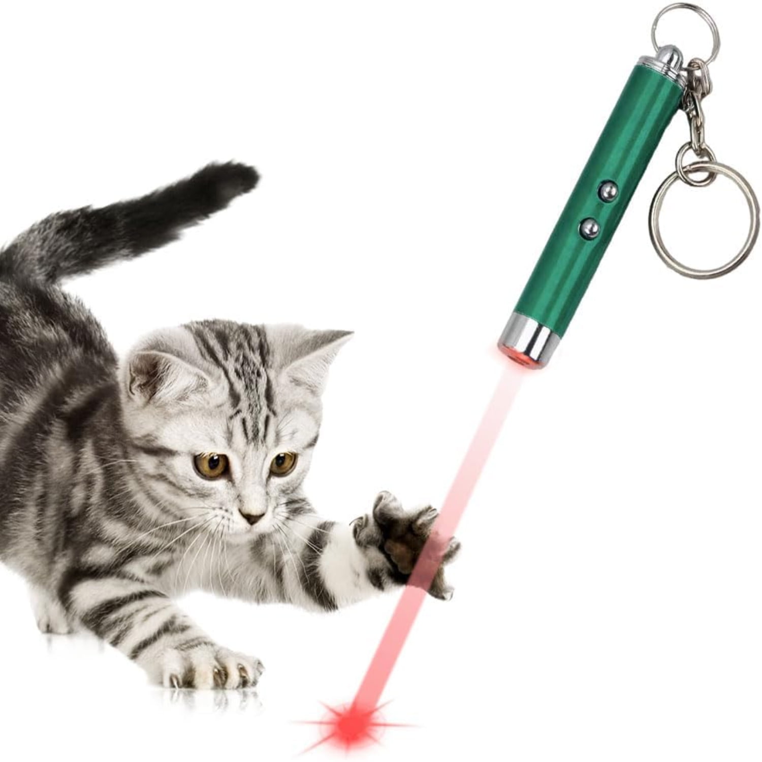 MNGQNG Enhanced Interactive Red Light LED Pointer Cat Toy for Mental ...