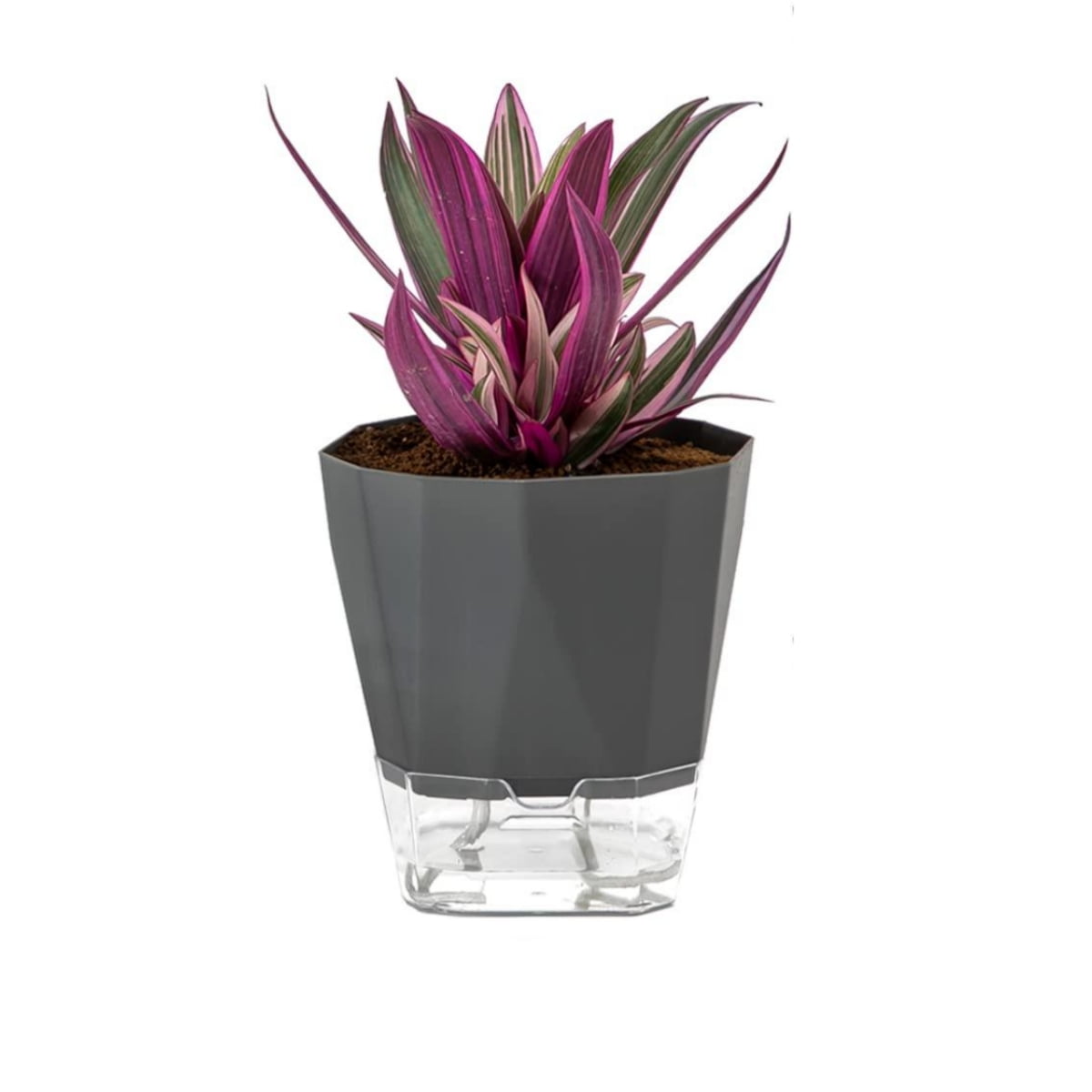 MODANU 1 Pcs Large Plastic Self Watering Indoor Planters, 8.5" Modern ...