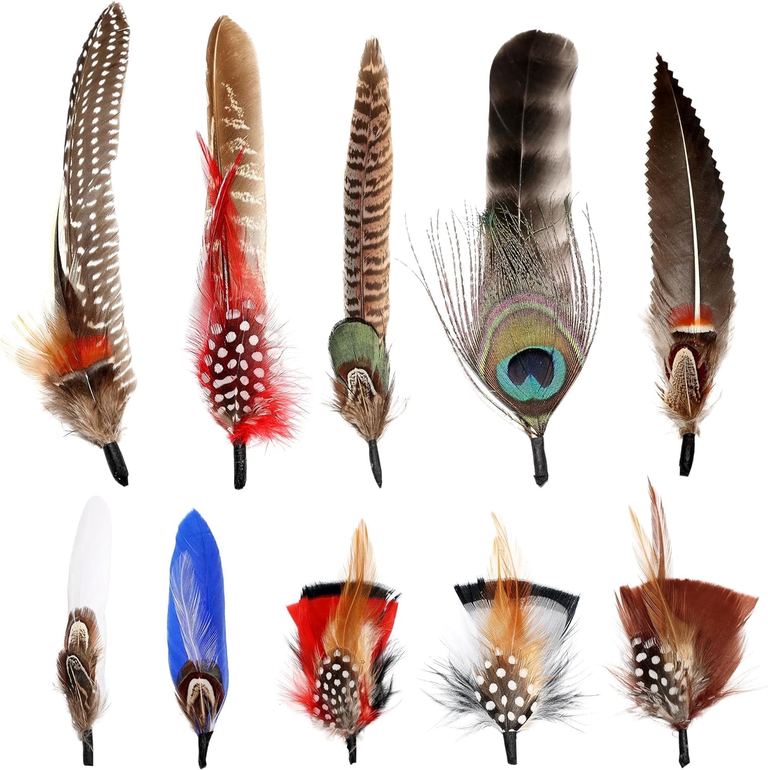 MODANU 10 Pcs Hat Feathers Natural Assorted Feathers for Fedora Hats ...