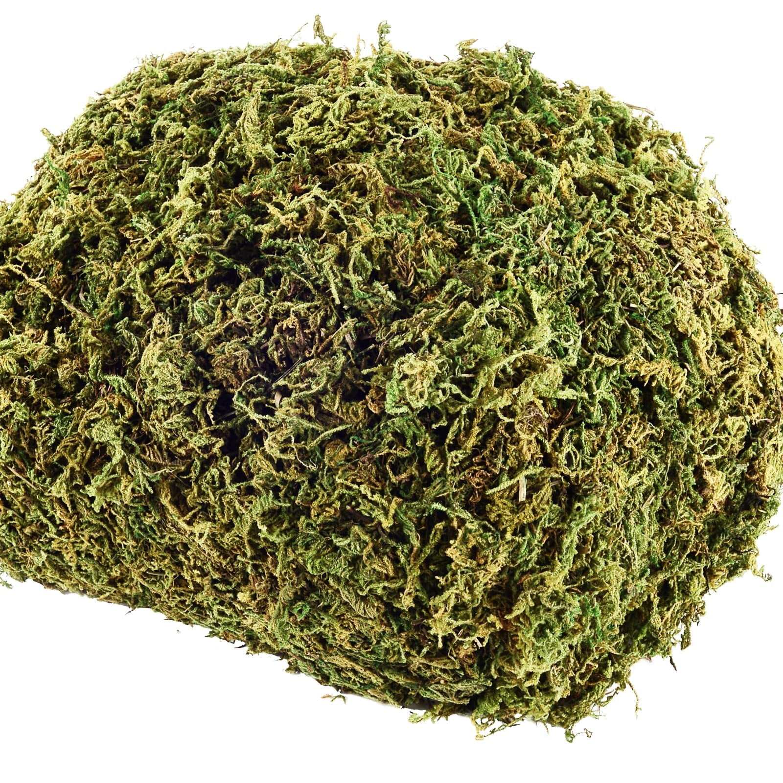 MODANU Fake Moss for Potted Plants, 10oz Artificial Moss for Fake ...
