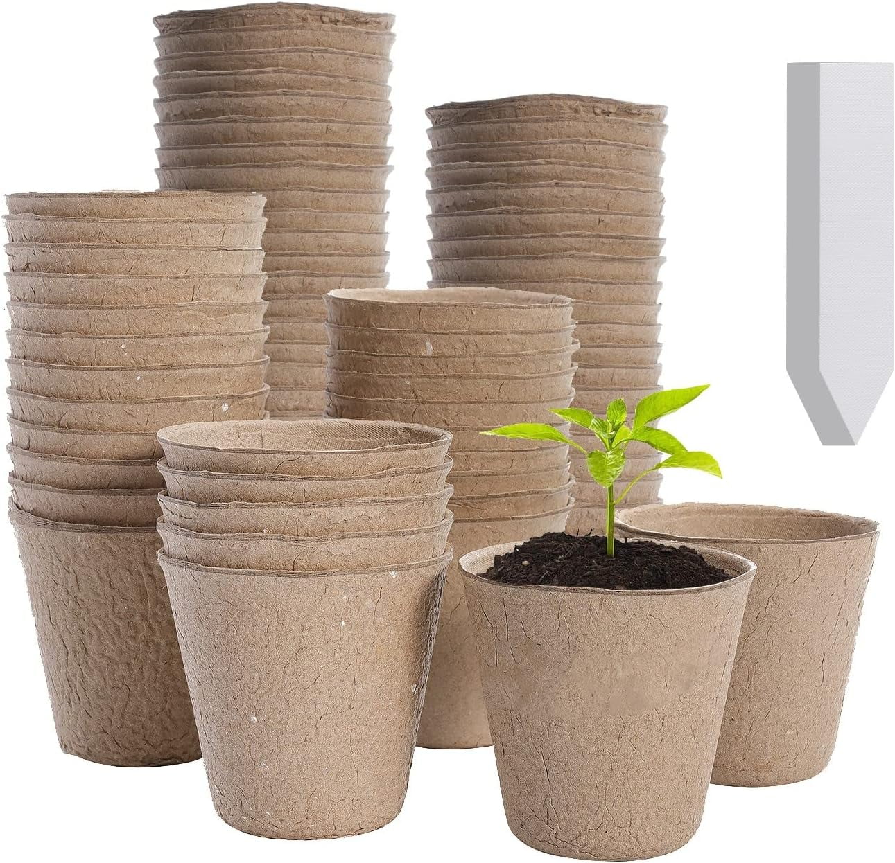 MODANU 100 Pcs Peat Pots, 3.15 inch Seed Starting Pots with Drainage ...