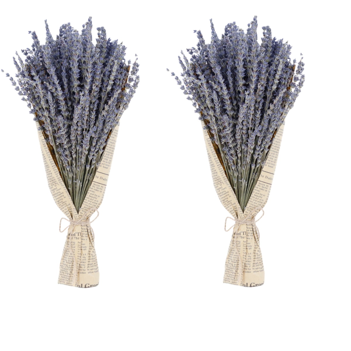 MODANU 2 Bundles Dried Lavender, 16“ Natural Dried Lavender Flowers 280 ...
