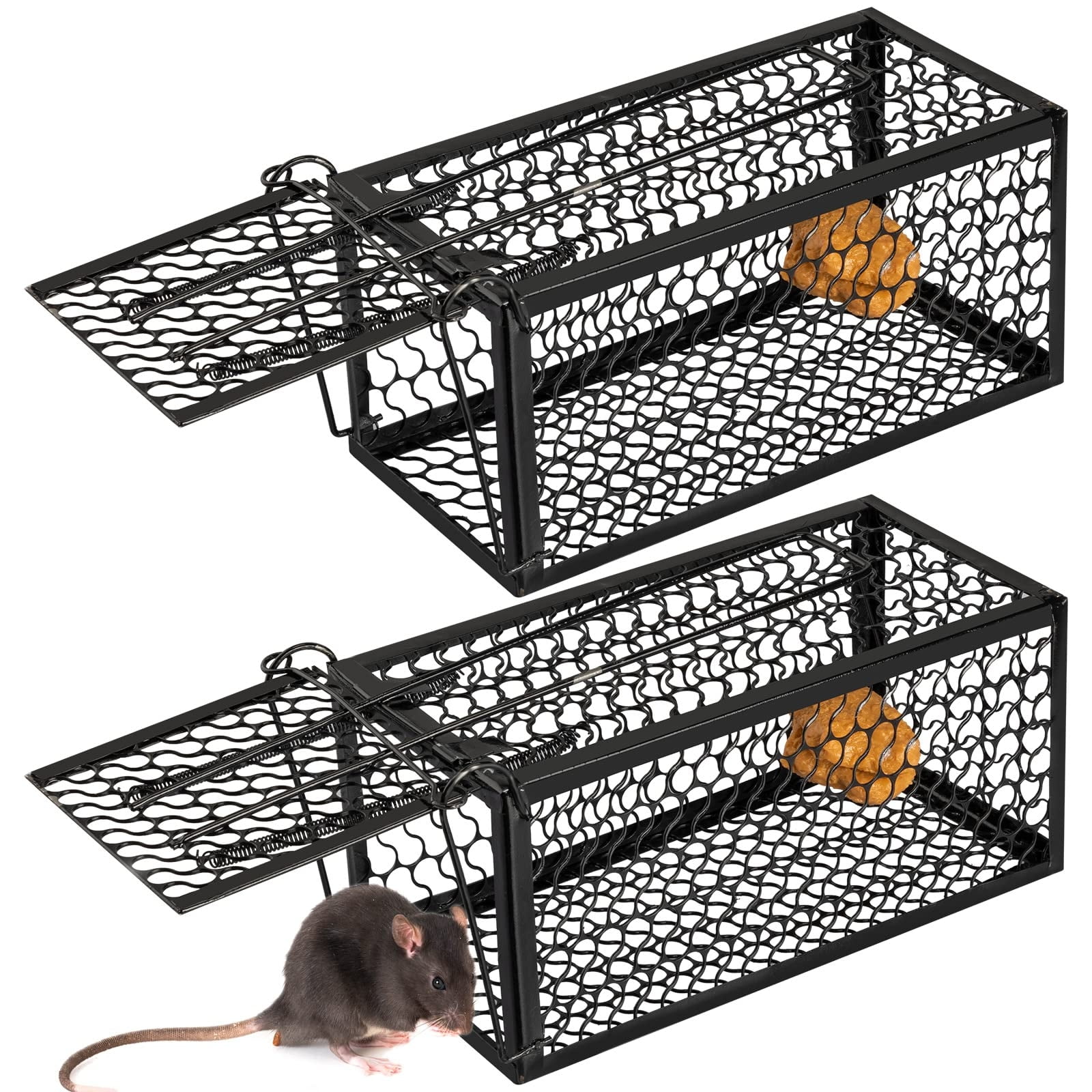 MODANU 2 Pcs Humane Rat Trap Chipmunk Rodent Trap Mouse Trap Squirrel ...