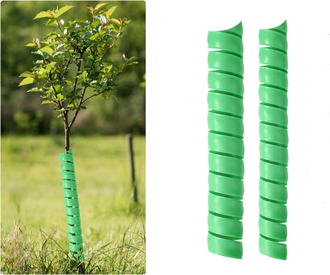 MODANU 2 Pcs Tree Trunk Protector 2 Size Plastic Spiral Tree Guard ...