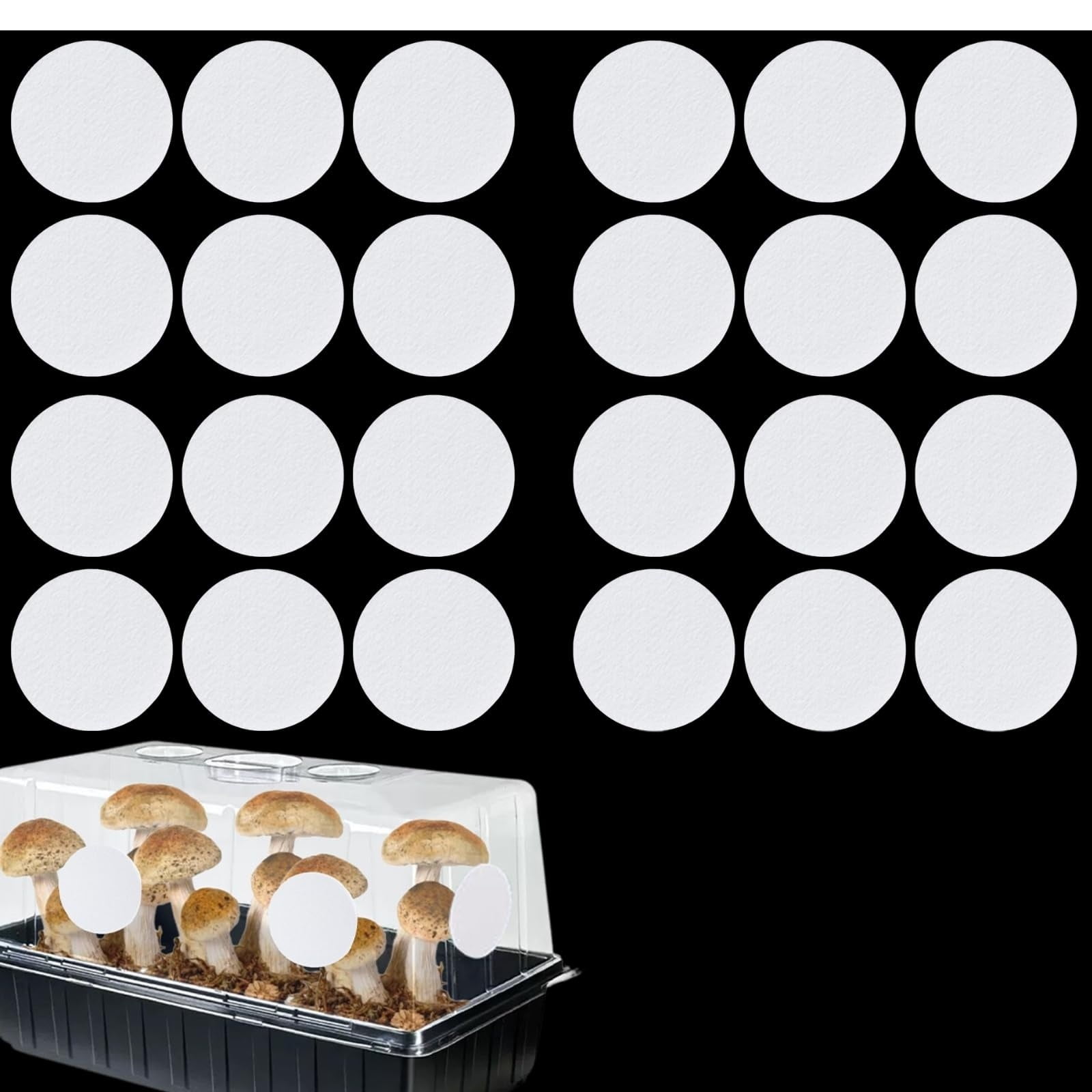 MODANU 24 Pcs Monotub Adhesive Filter Disks, 2.56in Dia x 2MM Thick ...