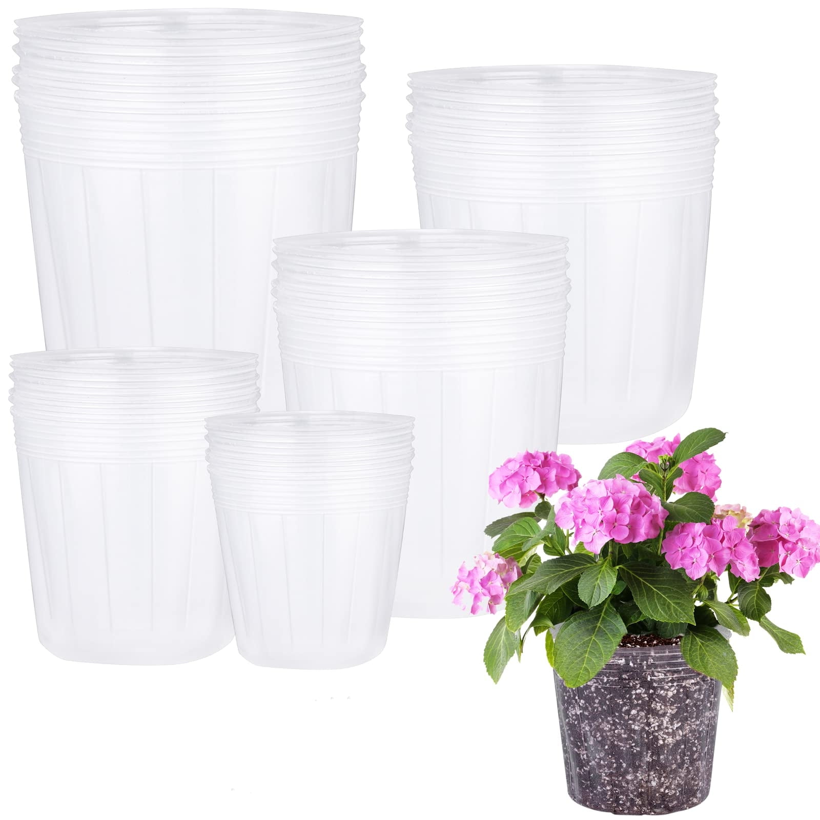 MODANU 30 Pcs Plant Nursery Pots,Transparent Plastic Gardening Pot,Soft ...
