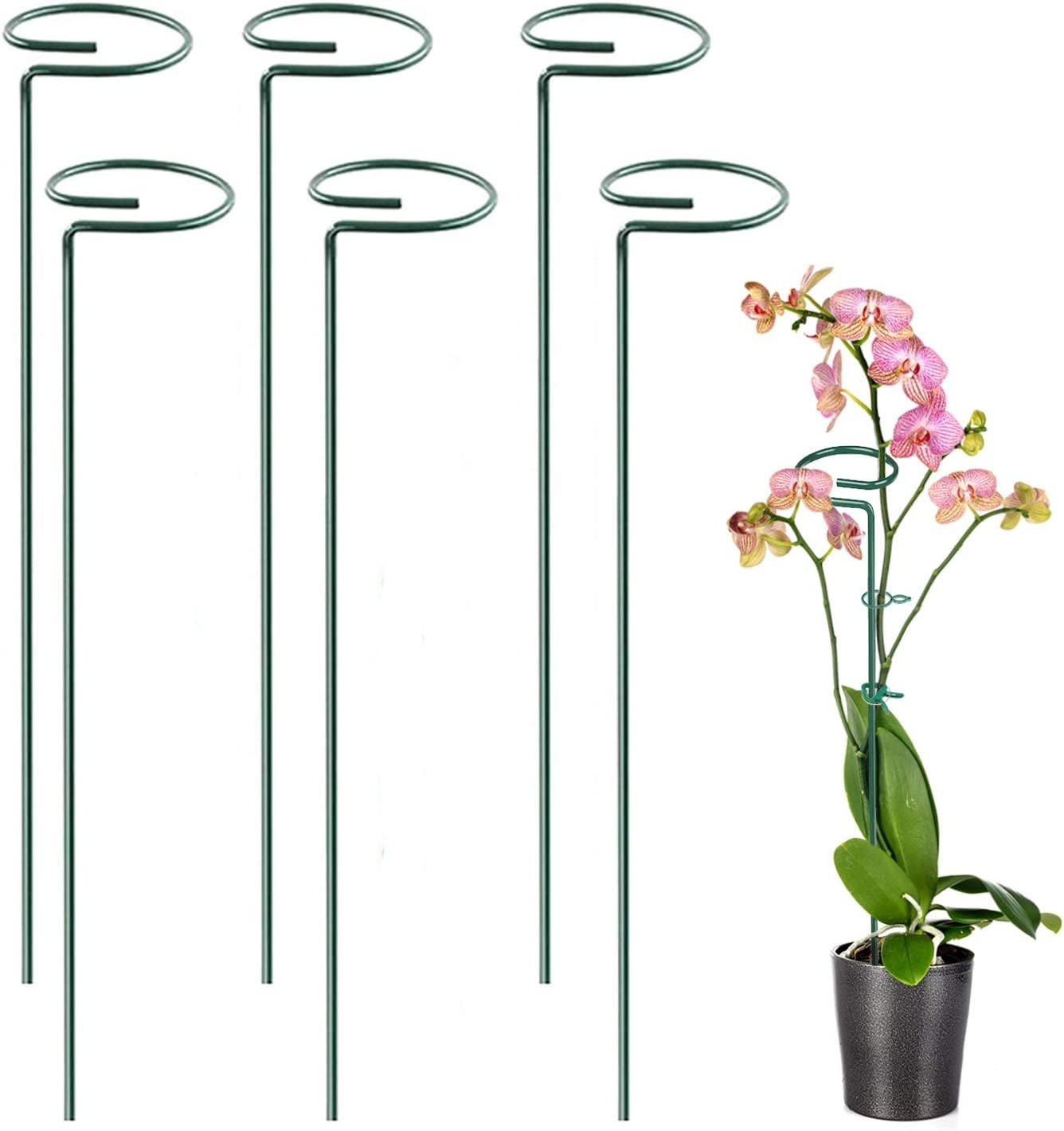 MODANU 6 Pcs Garden Metal Plant Stakes, 11.8inch Garden Flower Support ...