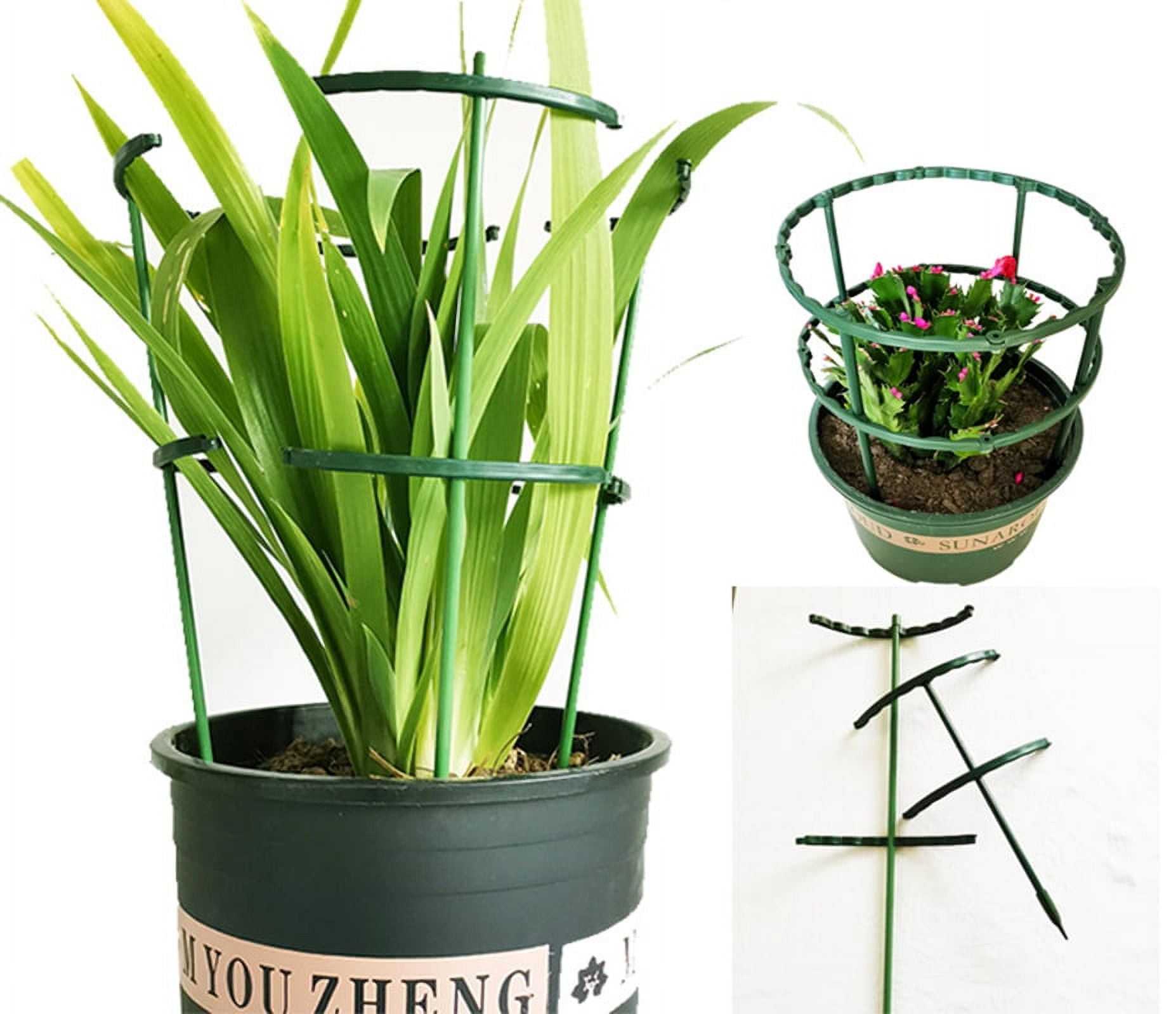 MODANU 8 Pack Plant Support Flower Support Stake, Plants Supports ...