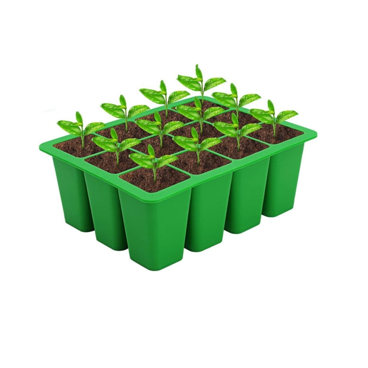 MODANU Seedling Tray Seed Starter, 12 Cells Mini Propagator Plant Grow ...