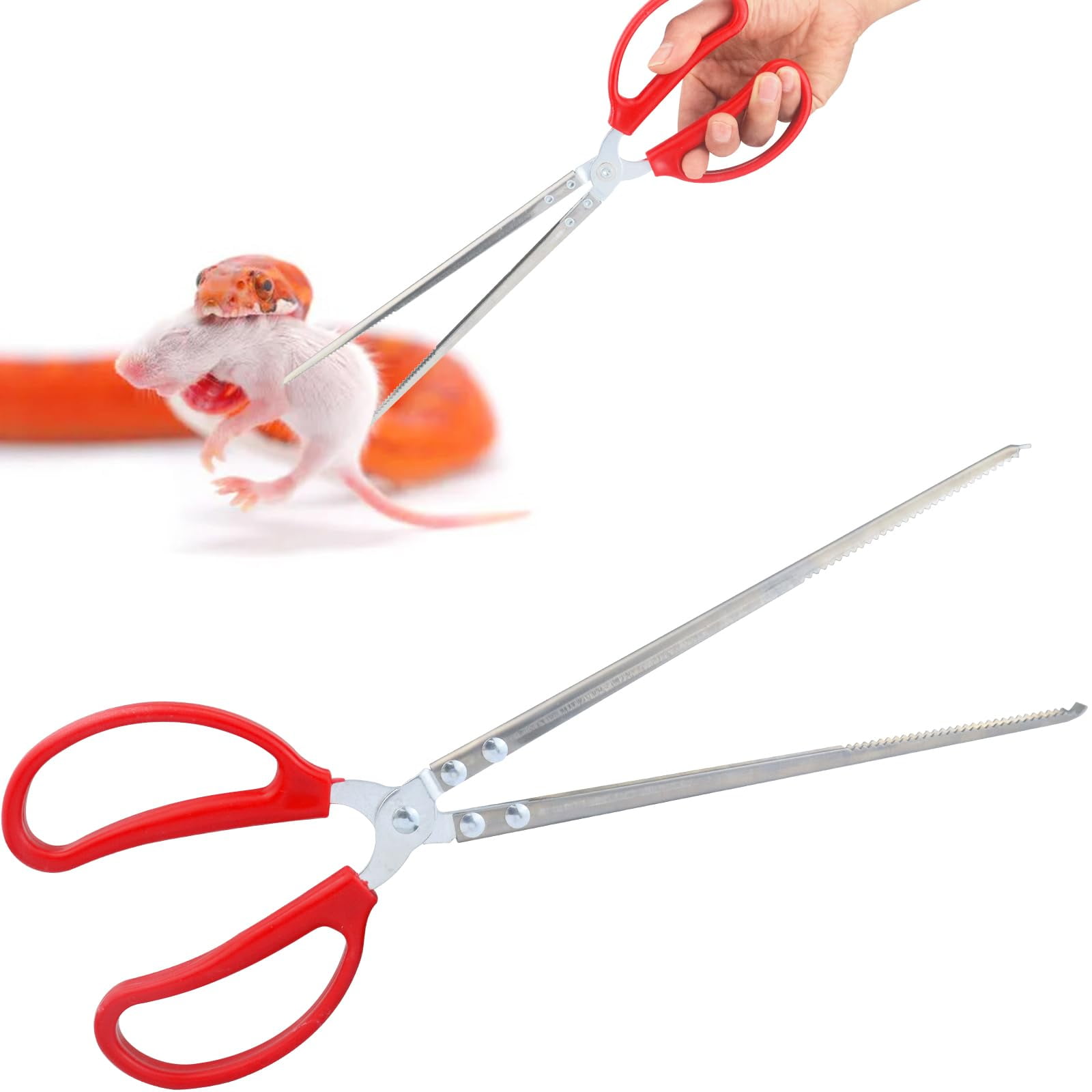 MODANU Snake Feeding Tongs, 14.8 inch Reptile Feeding Tongs, Long ...