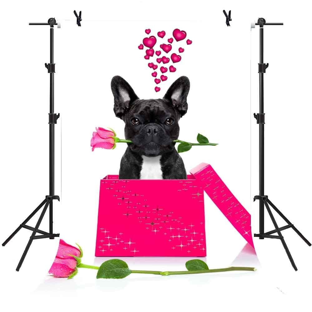 MOHome 5x7Ft Funny Dog Backdrop Pink Box And Rose Background Wedding ...