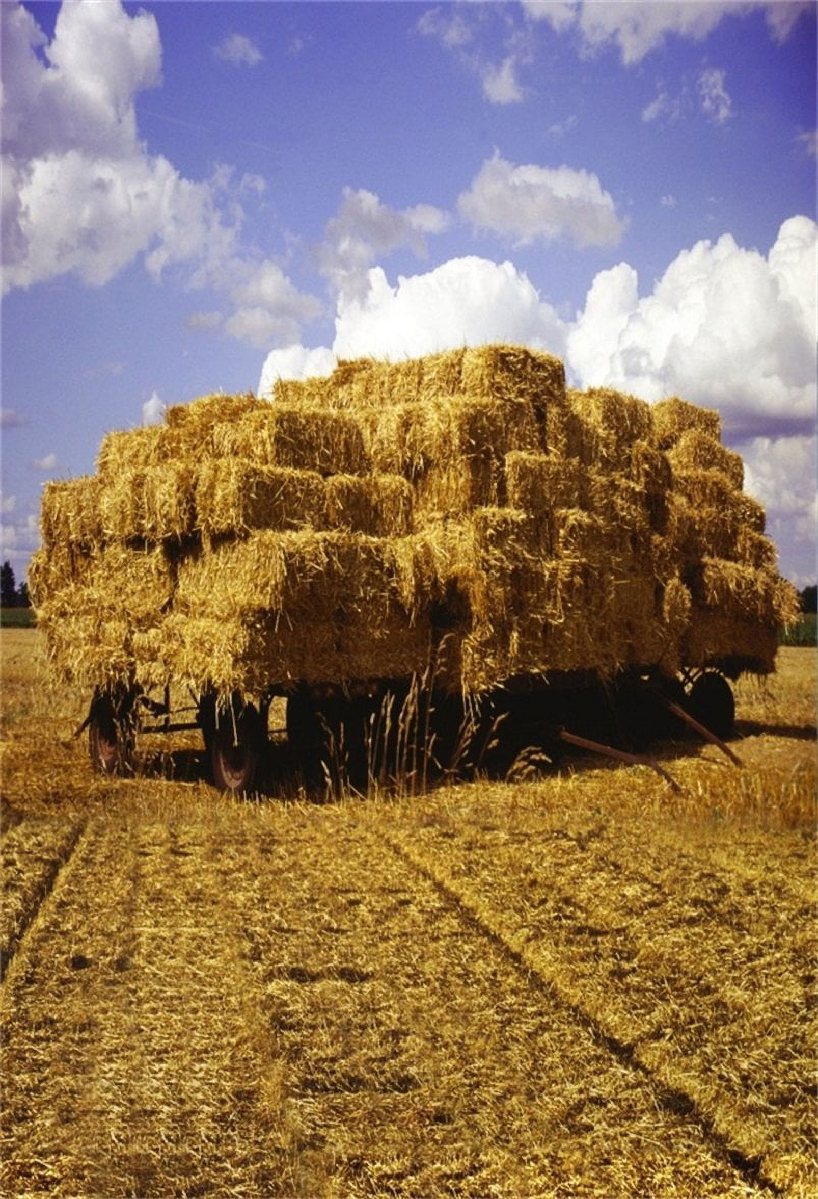 MOHome 5x7ft Artistic Backdrops Girl Photography Background Haystack ...