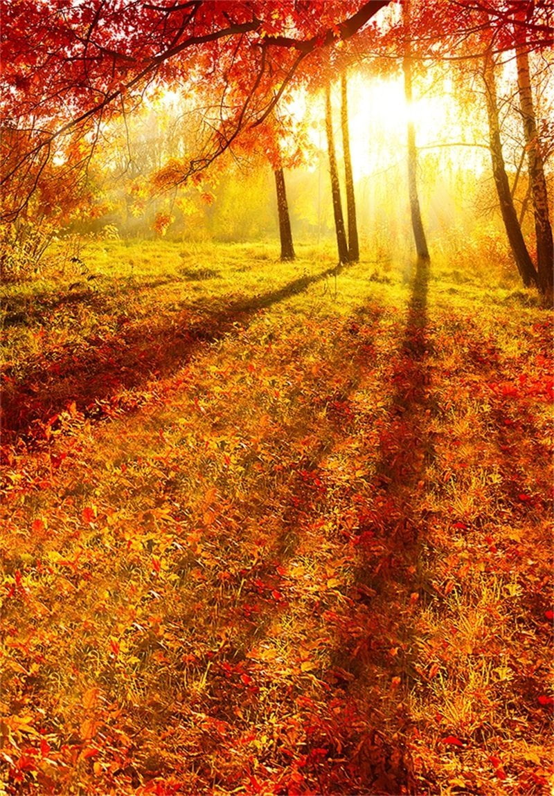 MOHome 5x7ft Artistic Photography Studio Background Girl Photo Shoot ...