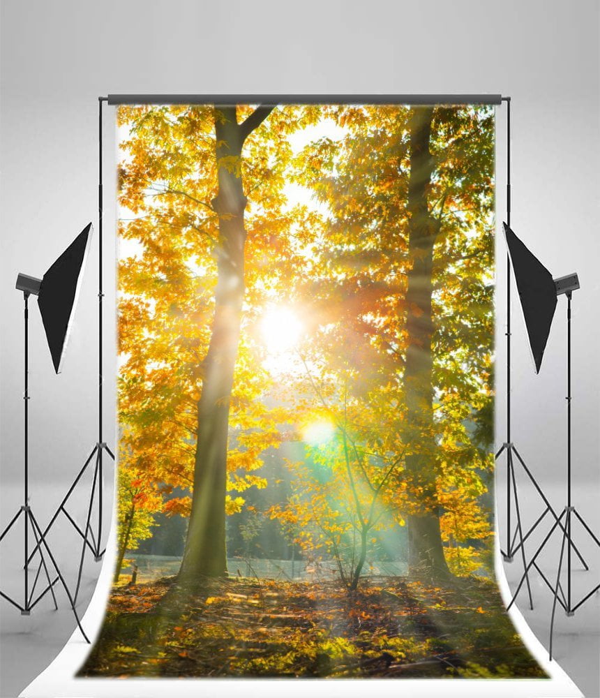 MOHome 5x7ft Autumn Backdrop Jungle Forest Golden leaves Sunshine River ...