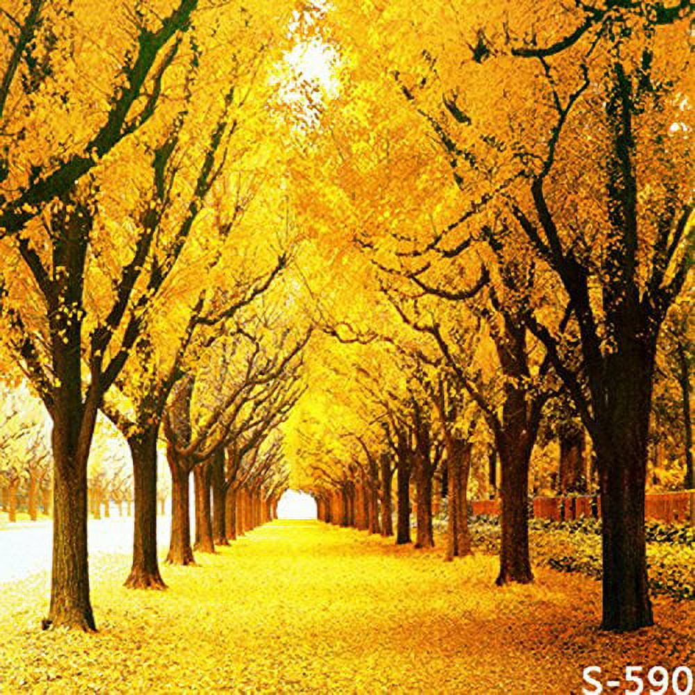 MOHome 5x7ft Autumn Maple Fall Yellow Tree Photography Studio Backdrop ...