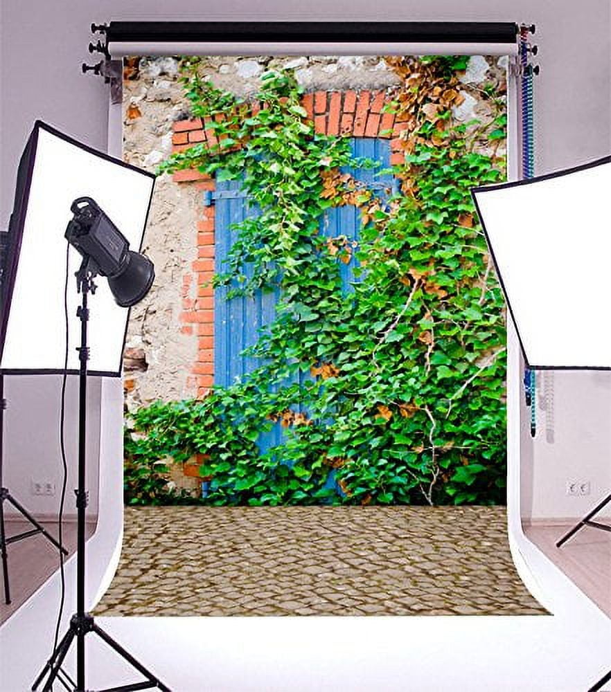 MOHome 5x7ft Backdrop Photography Background Window and Ivy Stone Brick ...