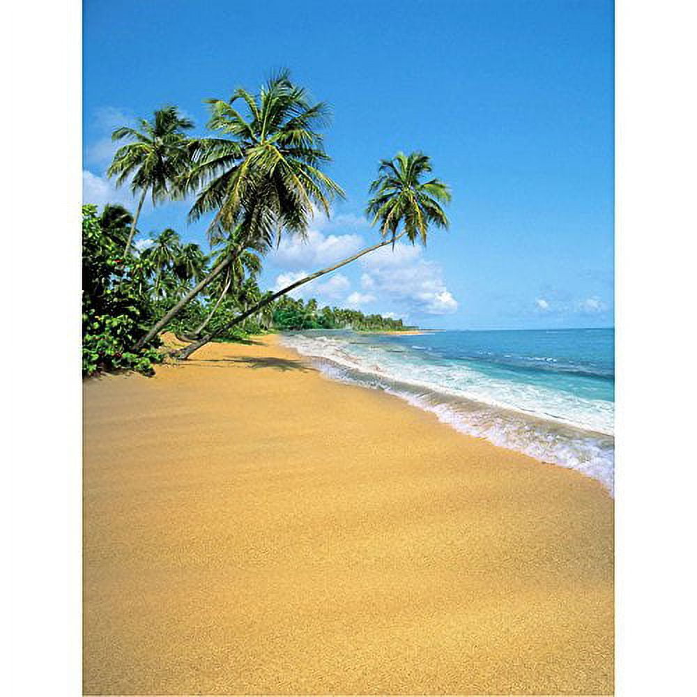 MOHome 5x7ft Beach Seaside Sun Seawater Palm Photography Studio ...