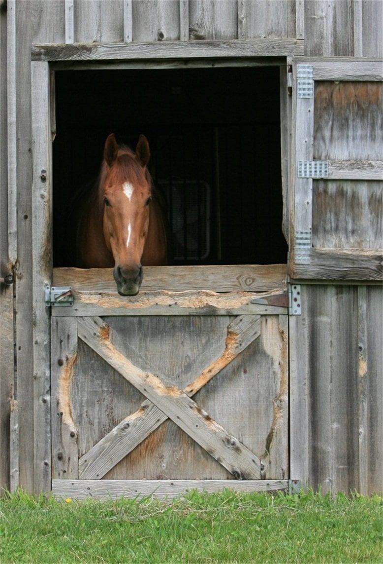 MOHome 5x7ft Farm Horse Stall Backdrop Shed Stable Photography ...