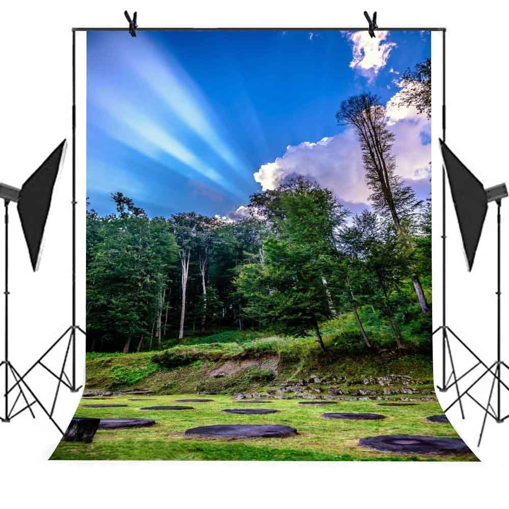 MOHome 5x7ft Forest photography Backdrop Woods Meadow Stump Blue Sky ...