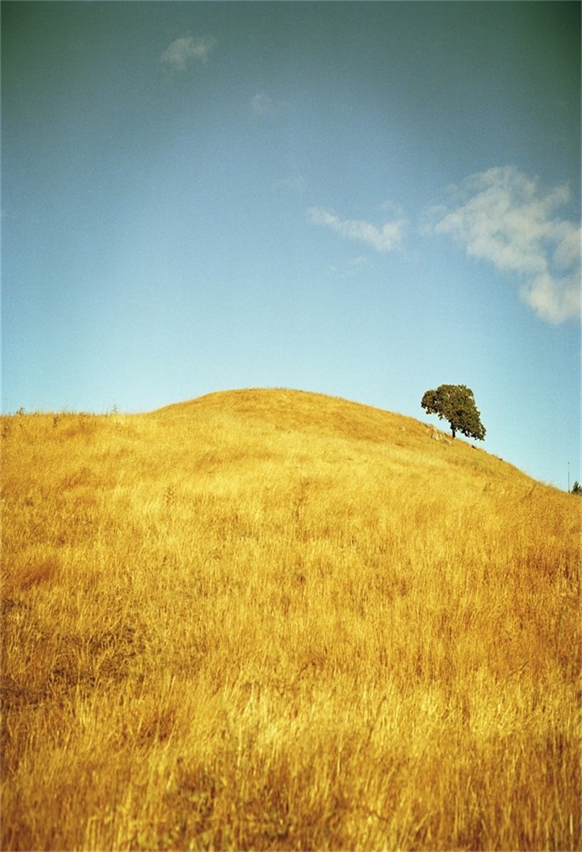 MOHome 5x7ft Girl Photography Studio Backdrops Toddler Photo Shoot ...