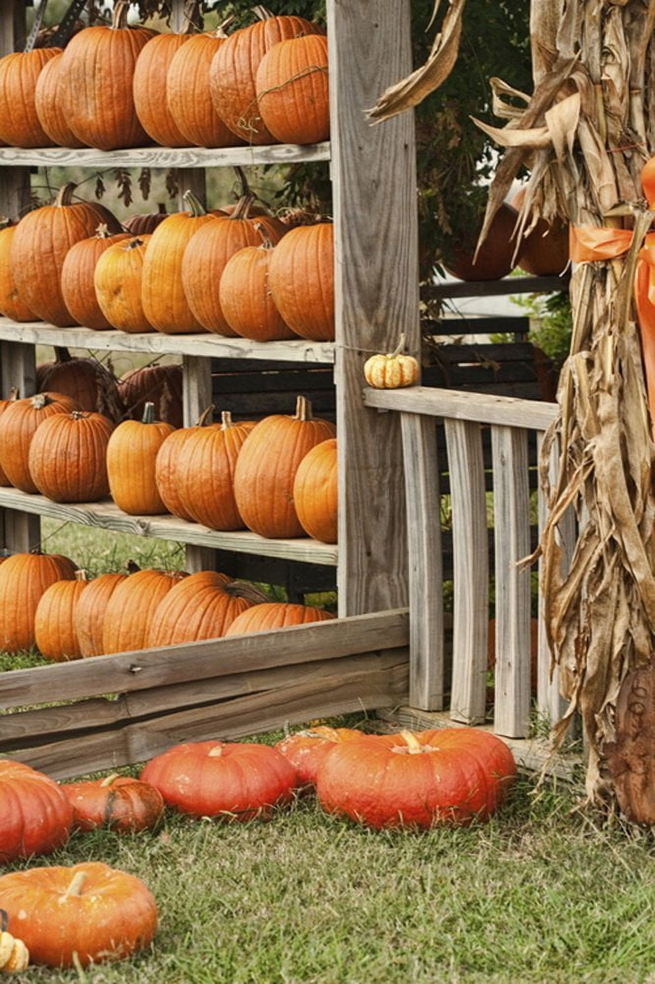 MOHome 5x7ft Halloween Pumpkins Shack Photography Backdrops Indoor ...