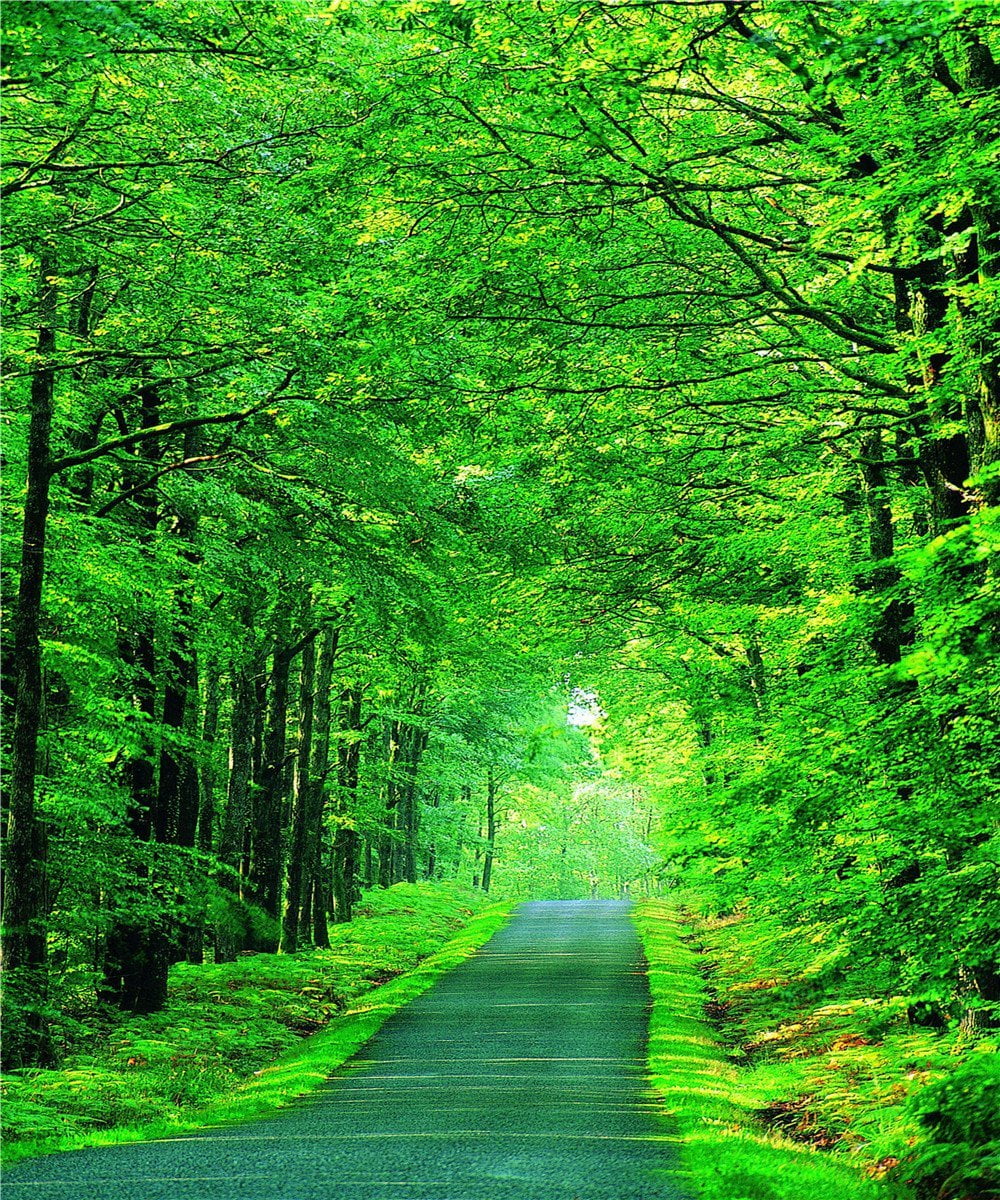 MOHome 5x7ft Natural Scenic Photography Backdrops Byway Green Trees ...