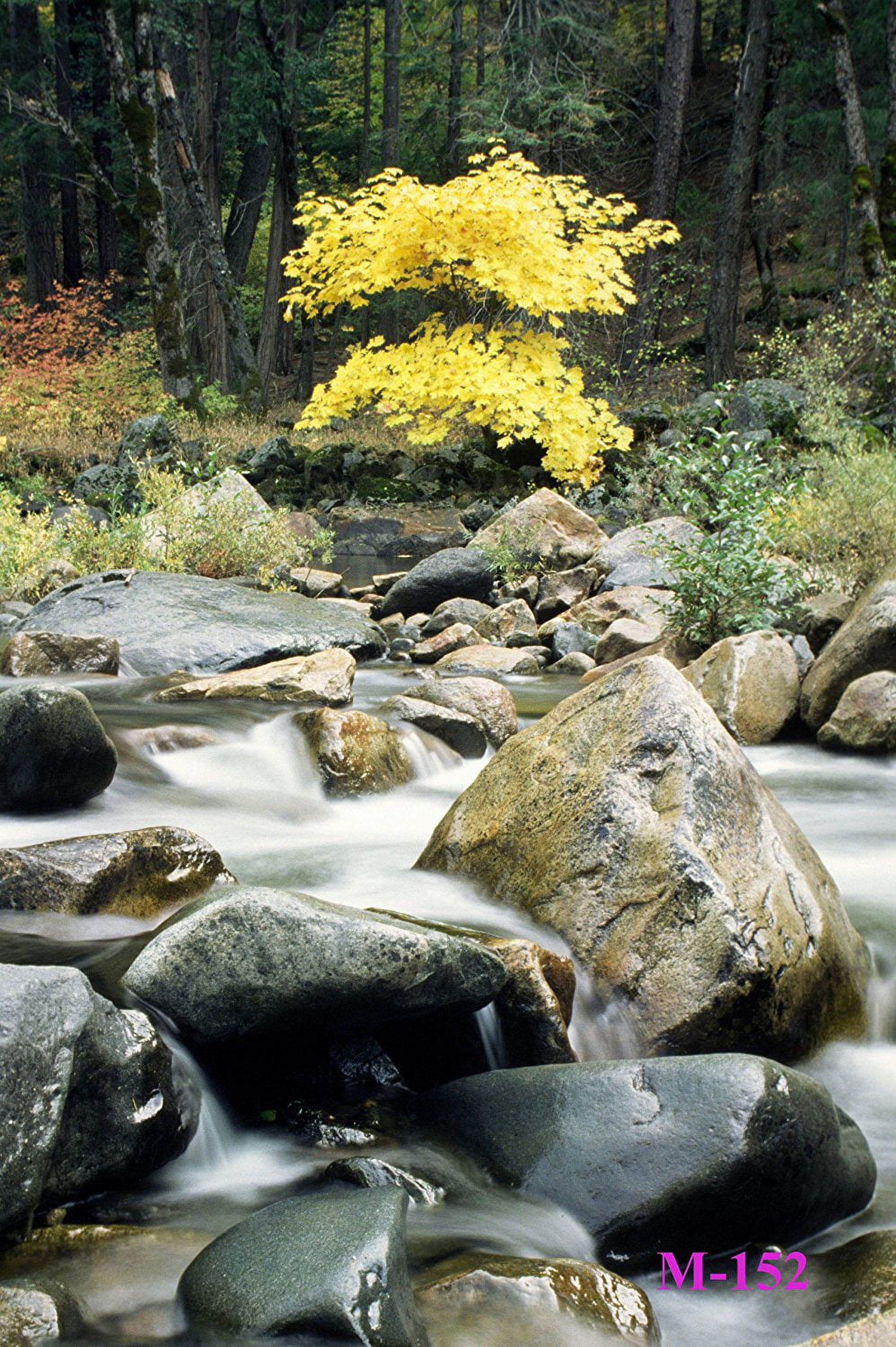 MOHome 5x7ft Nature photography Backdrop Background children studio ...