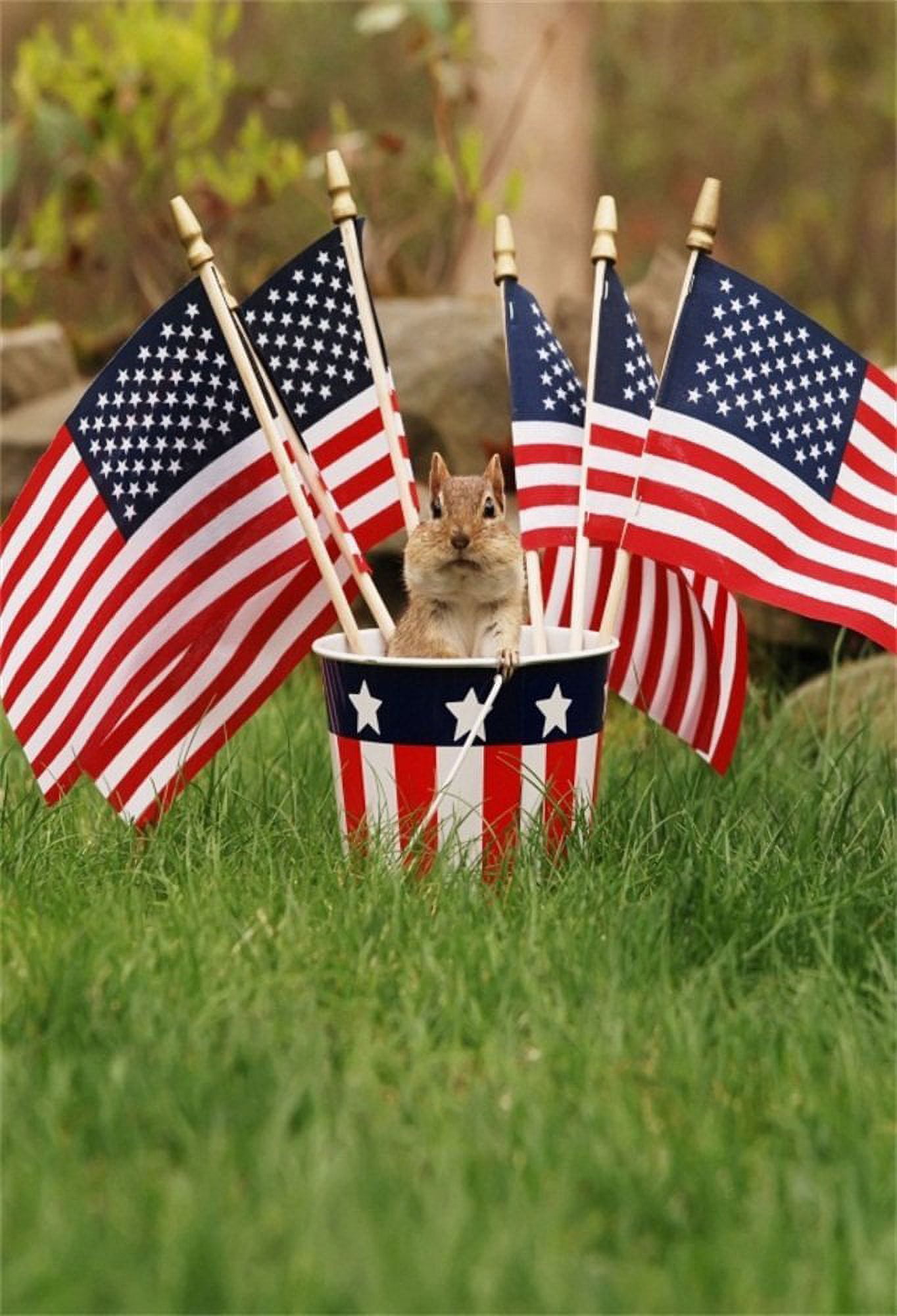 MOHome 5x7ft Photography Background Patriotic Chipmunk Ready for Fourth ...
