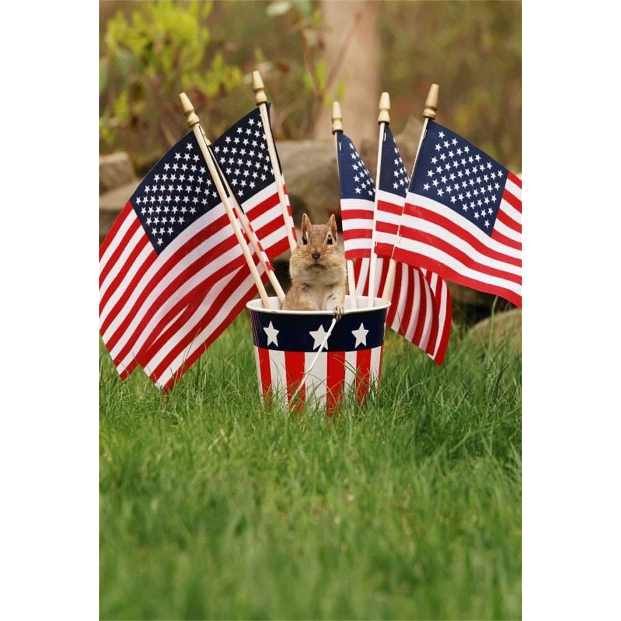 The Patriot Flag Scene