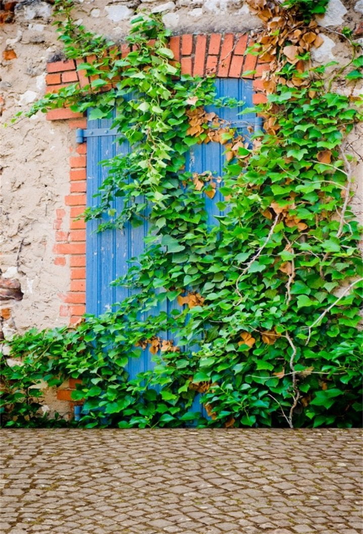 MOHome 5x7ft Shabby Front Door Backdrop Vine Leaves Photography ...
