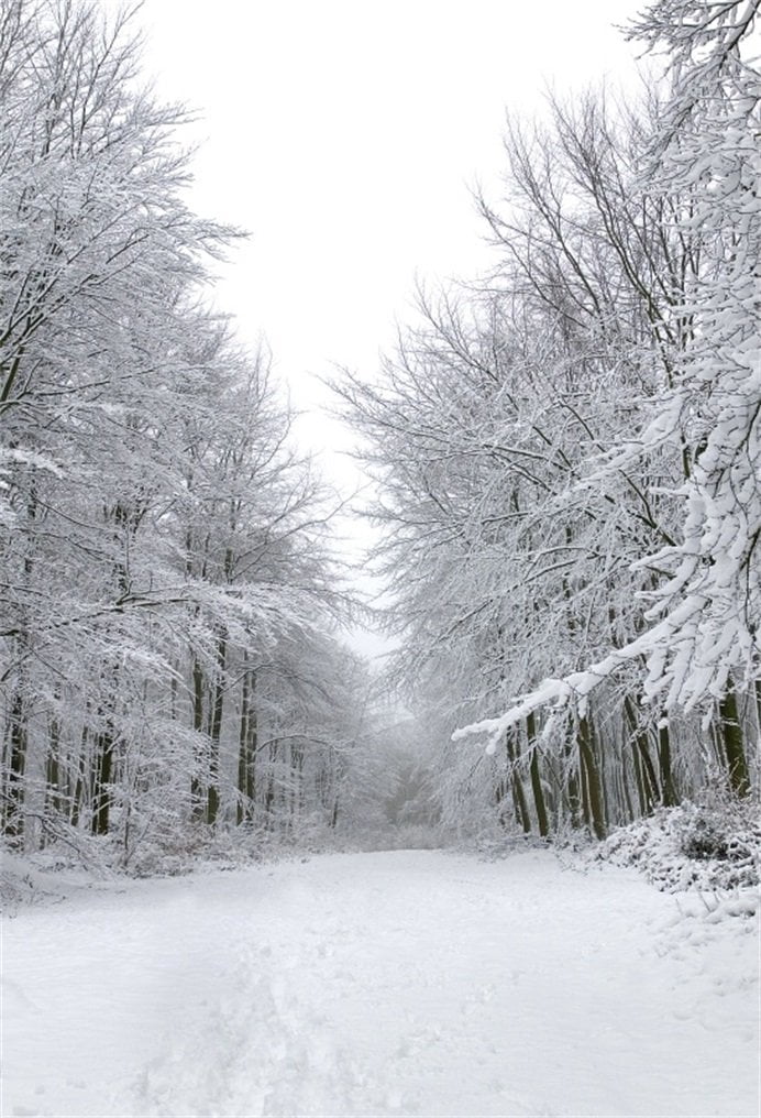 MOHome 5x7ft Snow Scenic Backdrop Winter Snowfield Ice Snow Tree ...
