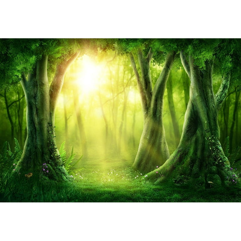 Fairy Tale Forest Scenic Photography Backdrops Trees Fairy Forest