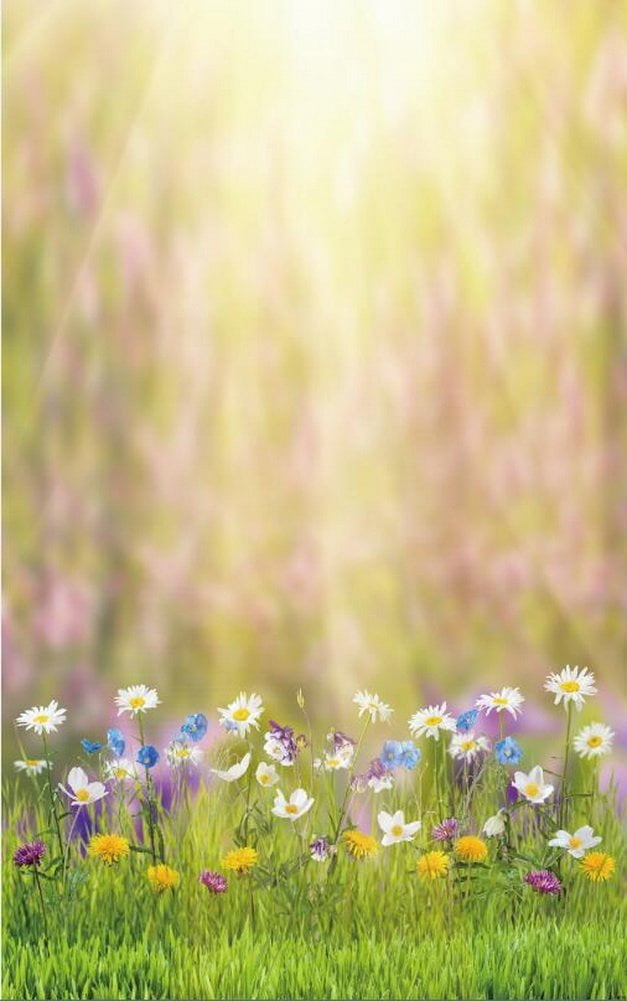 MOHome 5x7ft Spring Scenery Lawn Flowers Sunshine Photography Backdrops ...