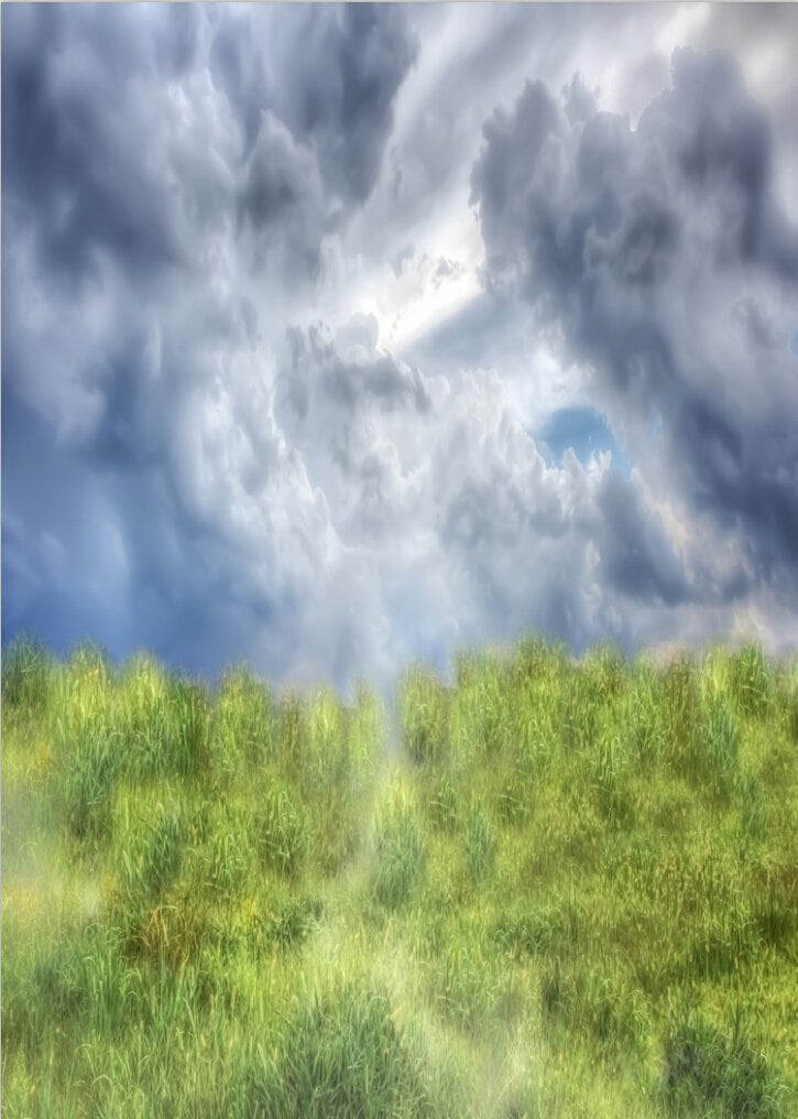 MOHome 5x7ft The Prairie photography Backdrop Background studio prop ...
