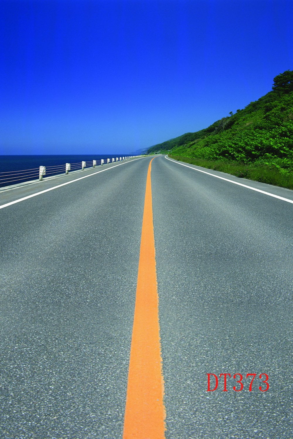 MOHome 5x7ft To the Distance Photography Backdrops Photography ...