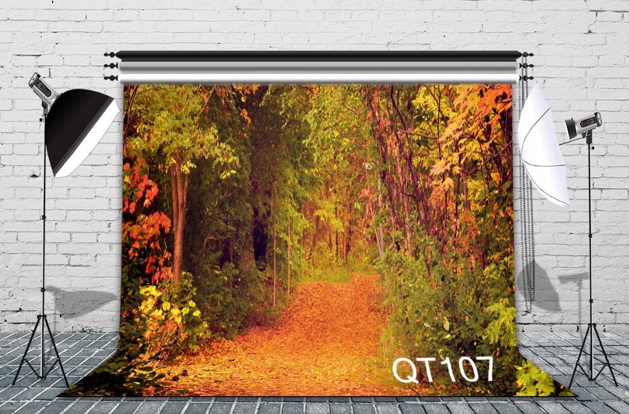 MOHome 7x5ft A Path Strewn with Fallen Leaves Autumn Scenery Fall ...