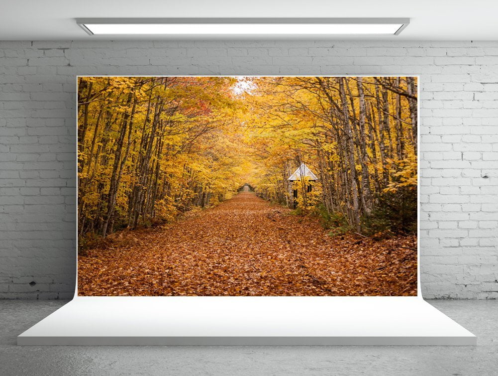 MOHome 7x5ft Autumn Photography Backdrops Yellow Maple Forest Blossom ...