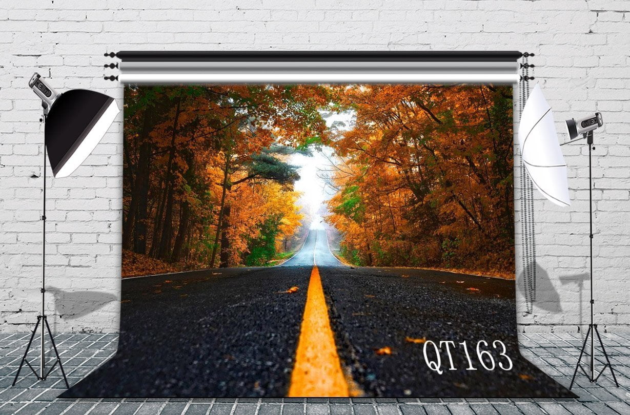 MOHome 7x5ft Autumn Road Scenery Photo Backdrop Fall Photography ...