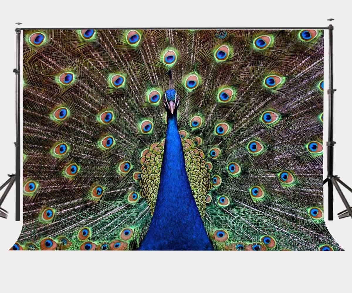 MOHome 7x5ft Backdrop Beautiful Peacock Feathers Photography Background ...