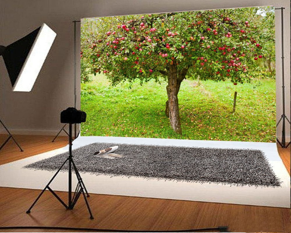 MOHome 7x5ft Backdrop Photography Background Apple Trees Orchard Garden ...