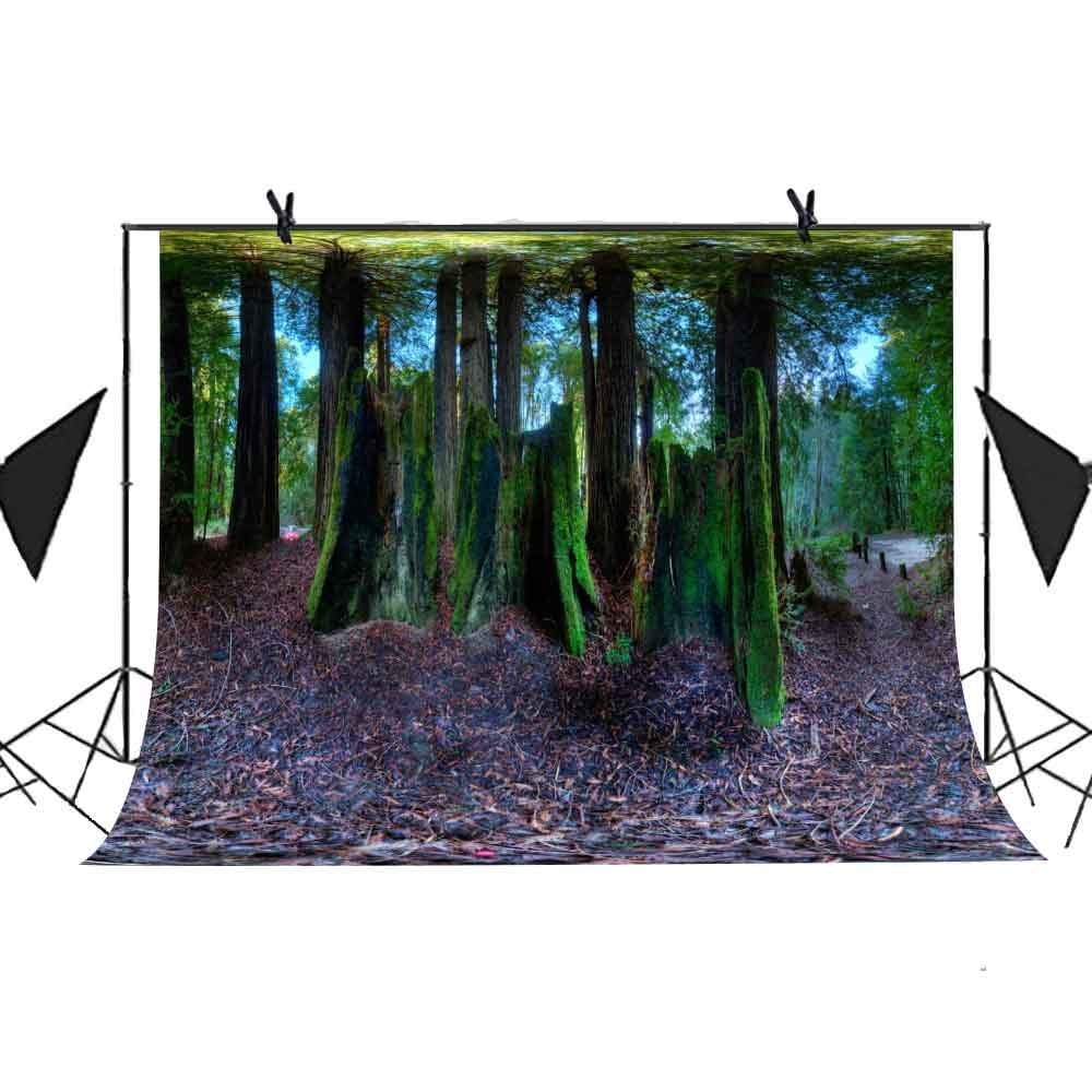 MOHome 7x5ft Dream Forest Backdrop Green Trees Cover The Sky Dead ...