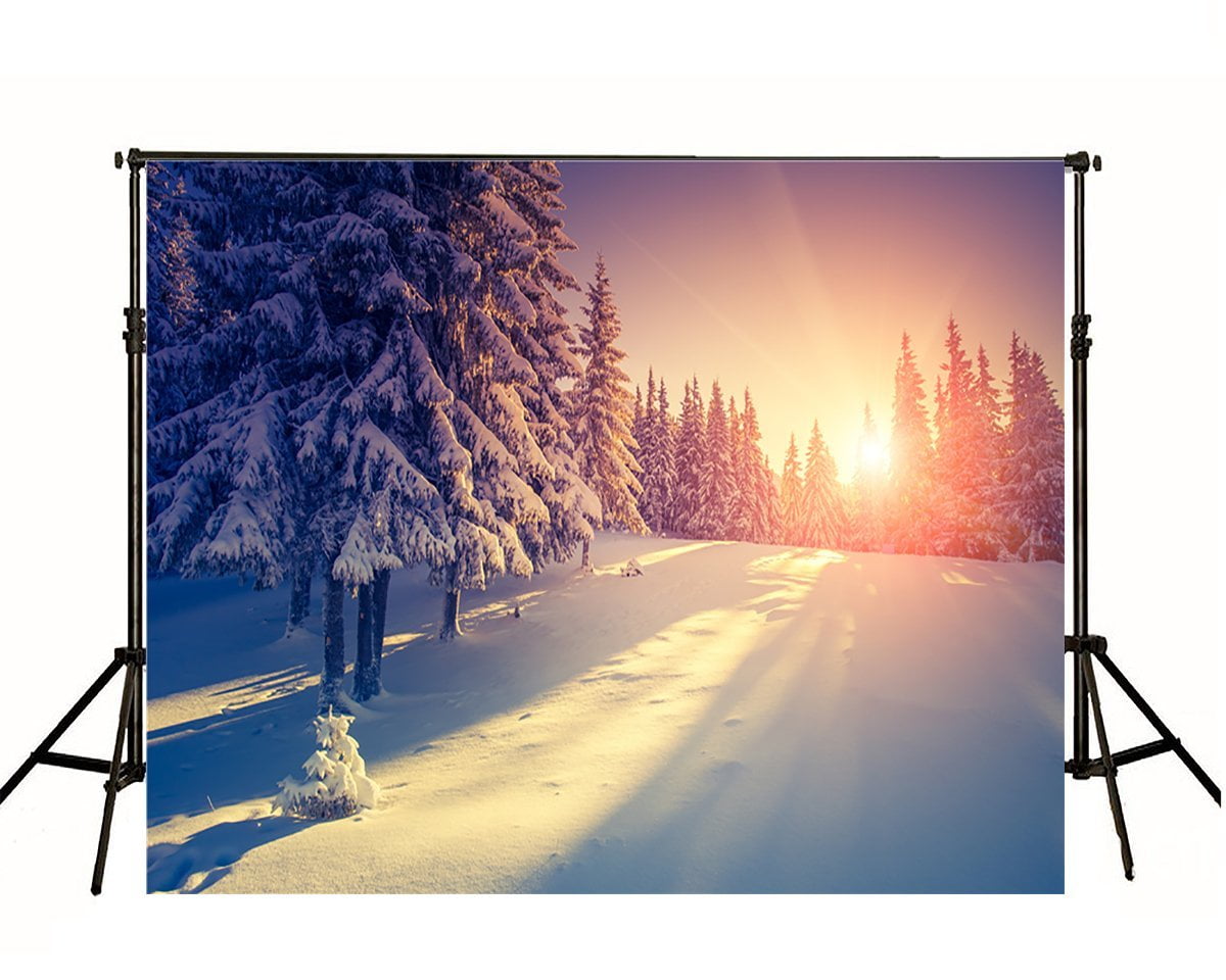 MOHome 7x5ft Forest Snow Scene Photography Backdrops Sunrise and Cedars ...