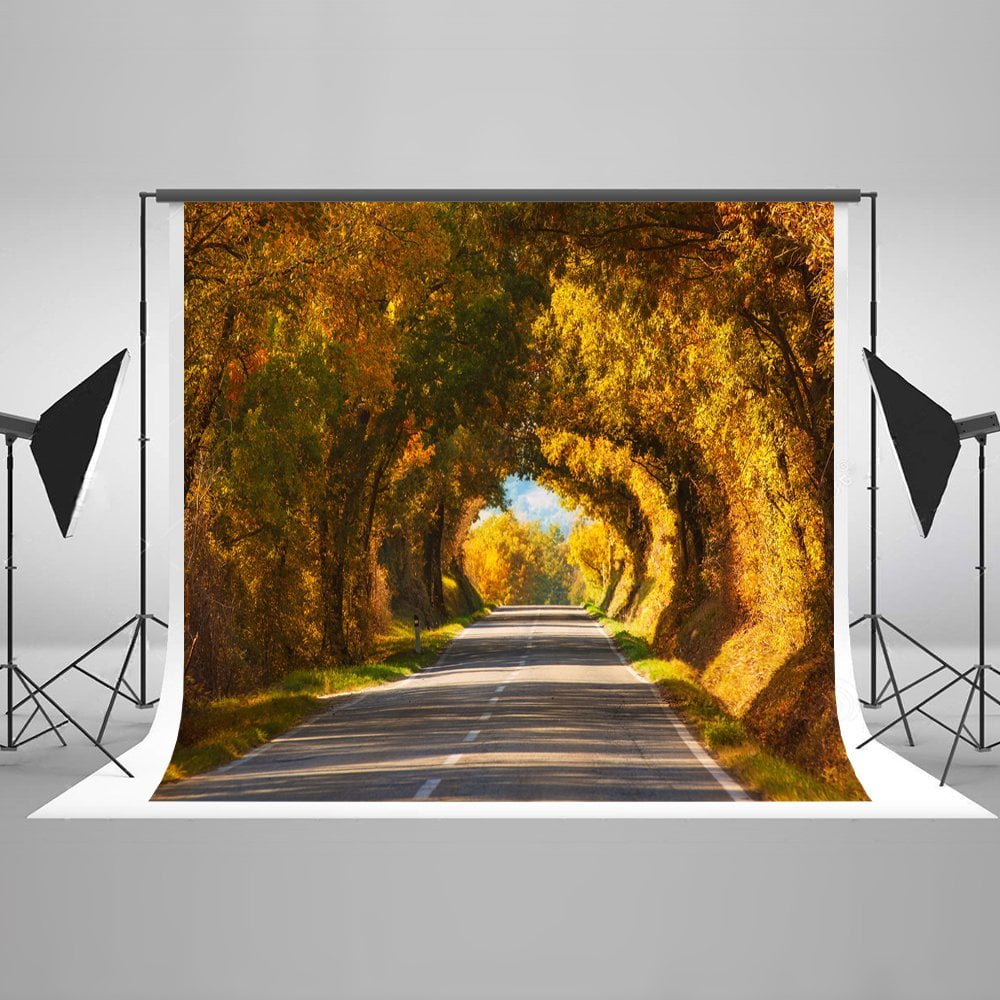 MOHome 7x5ft Gold Tree Leaf Shadow Car Road Spring Outing Family Driver ...