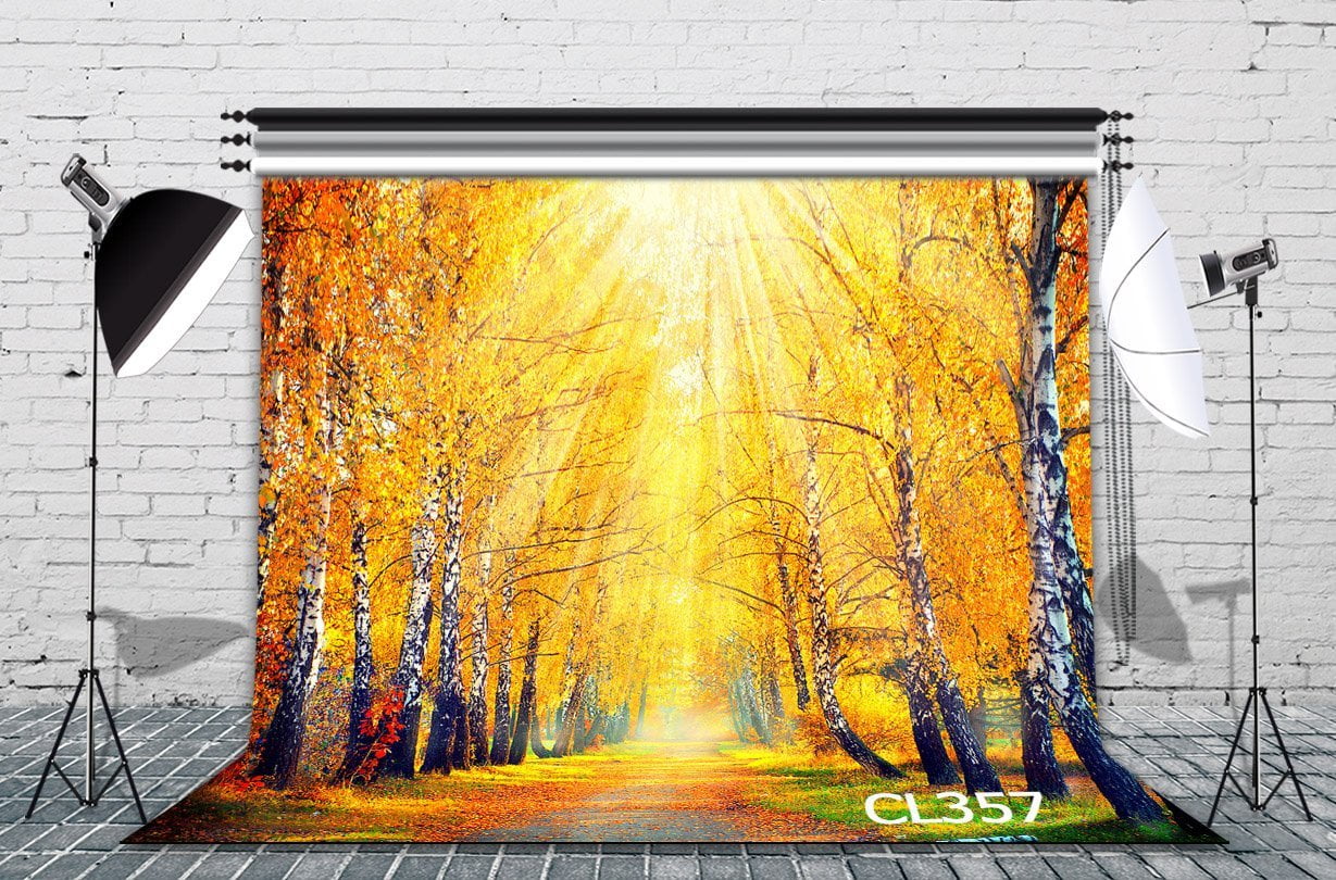 MOHome 7x5ft Golden Birch in the Sun Fall Photography Backdrops Studio ...