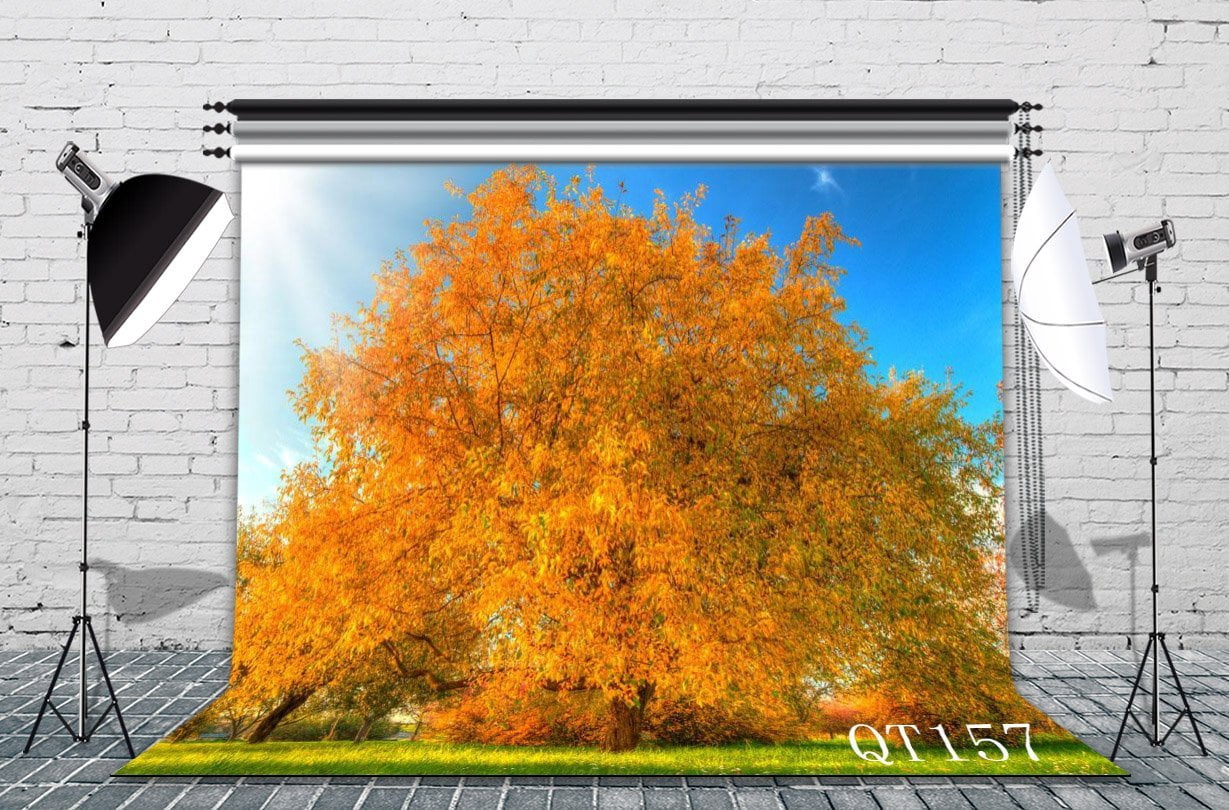 MOHome 7x5ft Golden Tree Photo Backdrop Fall Photography Backdrop ...