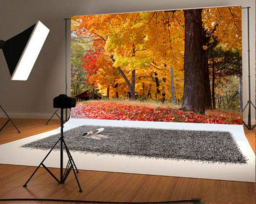 MOHome 7x5ft Maple Tree Backdrops Photography Gold Fall Forest Scene ...
