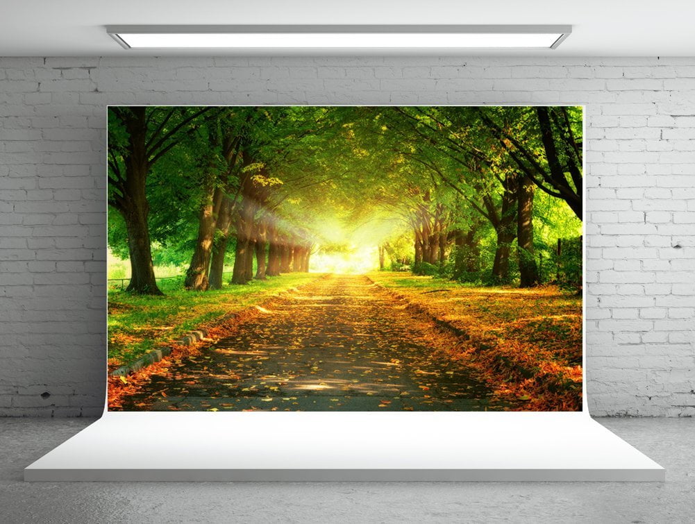 Mohome 7x5ft Natural Scenery Photography Backdrops Green Trees Sunlight